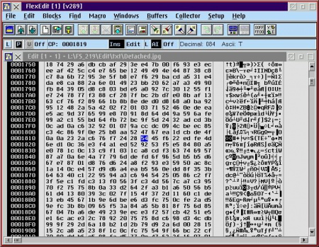 FlexEdit Features Details - OS2World.Com Wiki